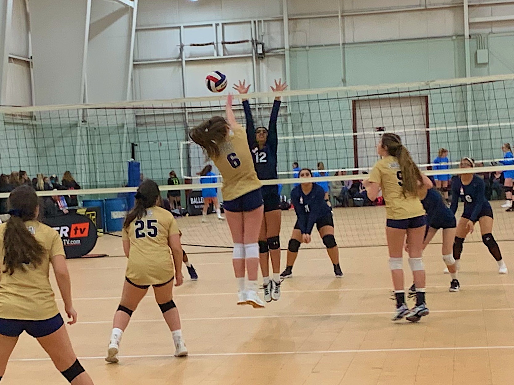 OLMA’s Alice Cawley Expects Solid Fall Season for the Villager’s ...