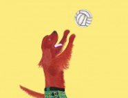 NJP Award – Best Setter Fall 2021 – NJPowerRanking